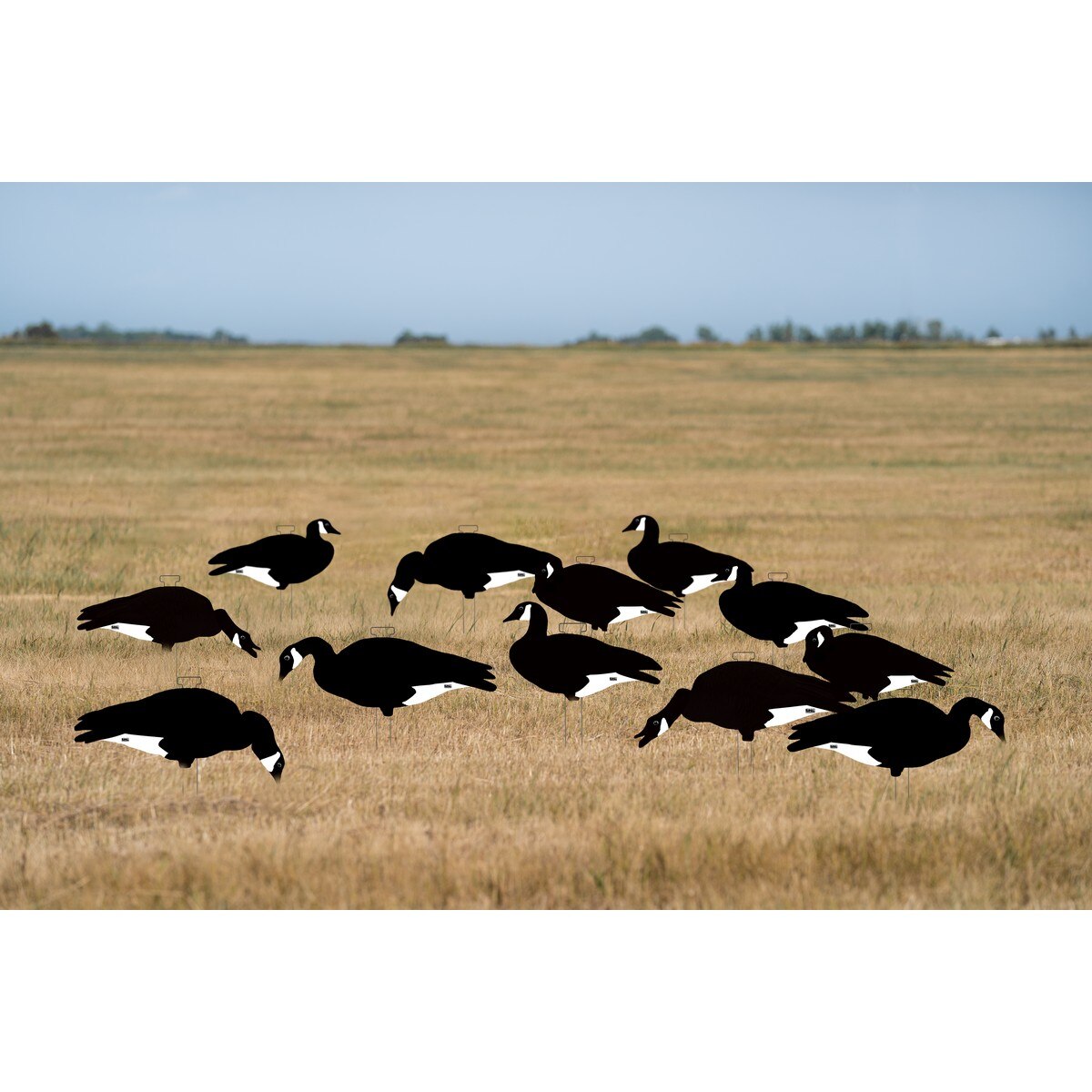 GHG Pro Grade Canade Goose Black & White Silo Decoys 12 Pack | Mack's ...